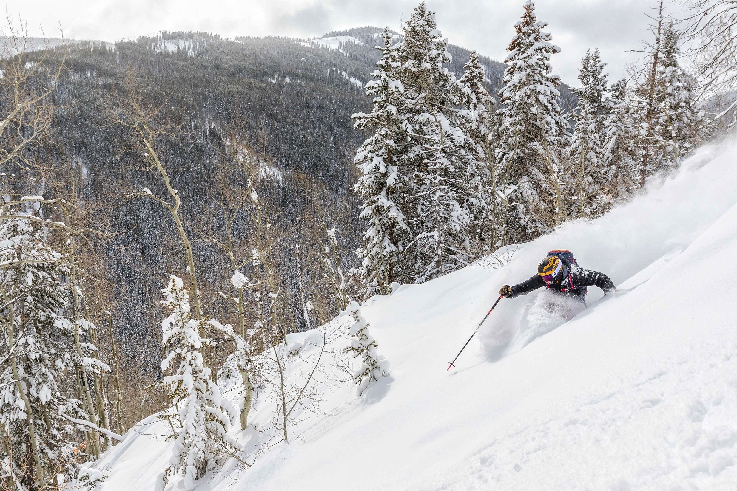 Powder Skiing